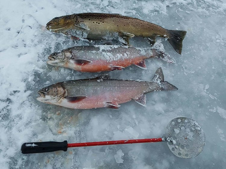 Fiske på vintern i Kittelfjäll